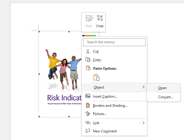 How To Find Embedded Objects In Word